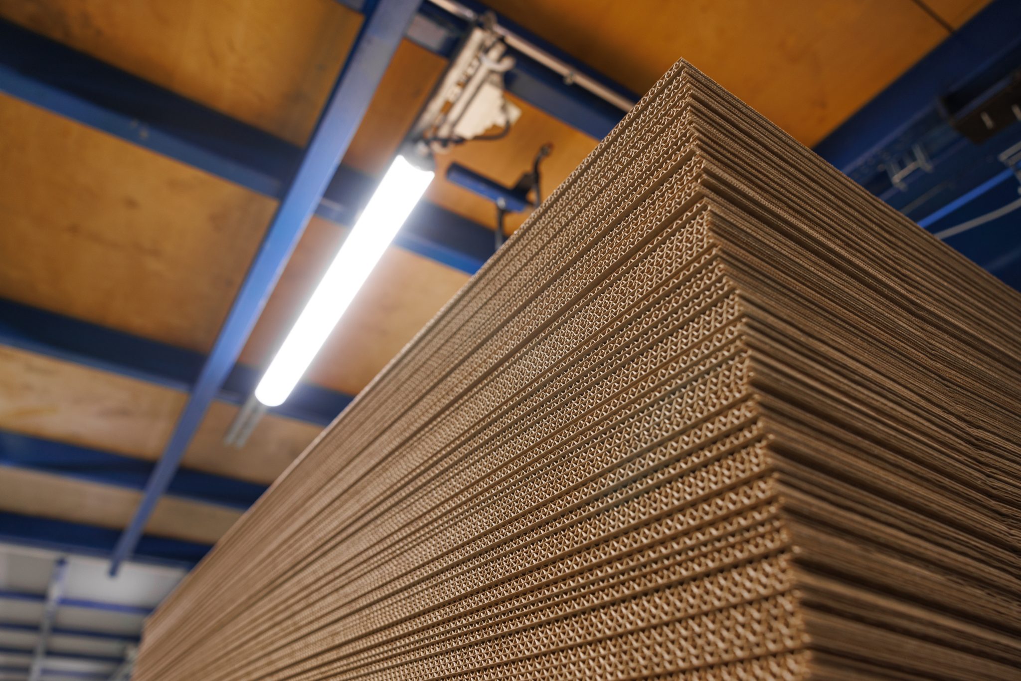 THE MOST EFFICIENT AND FLEXIBLE SOLUTION PROVIDER IN PACKAGING AND IN ...